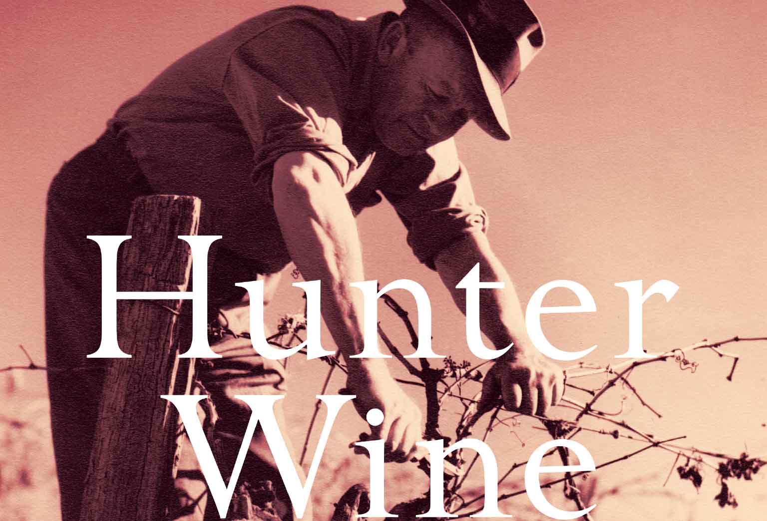 Hunter Wine: new book explores rich heritage from vine to glass - CSU News