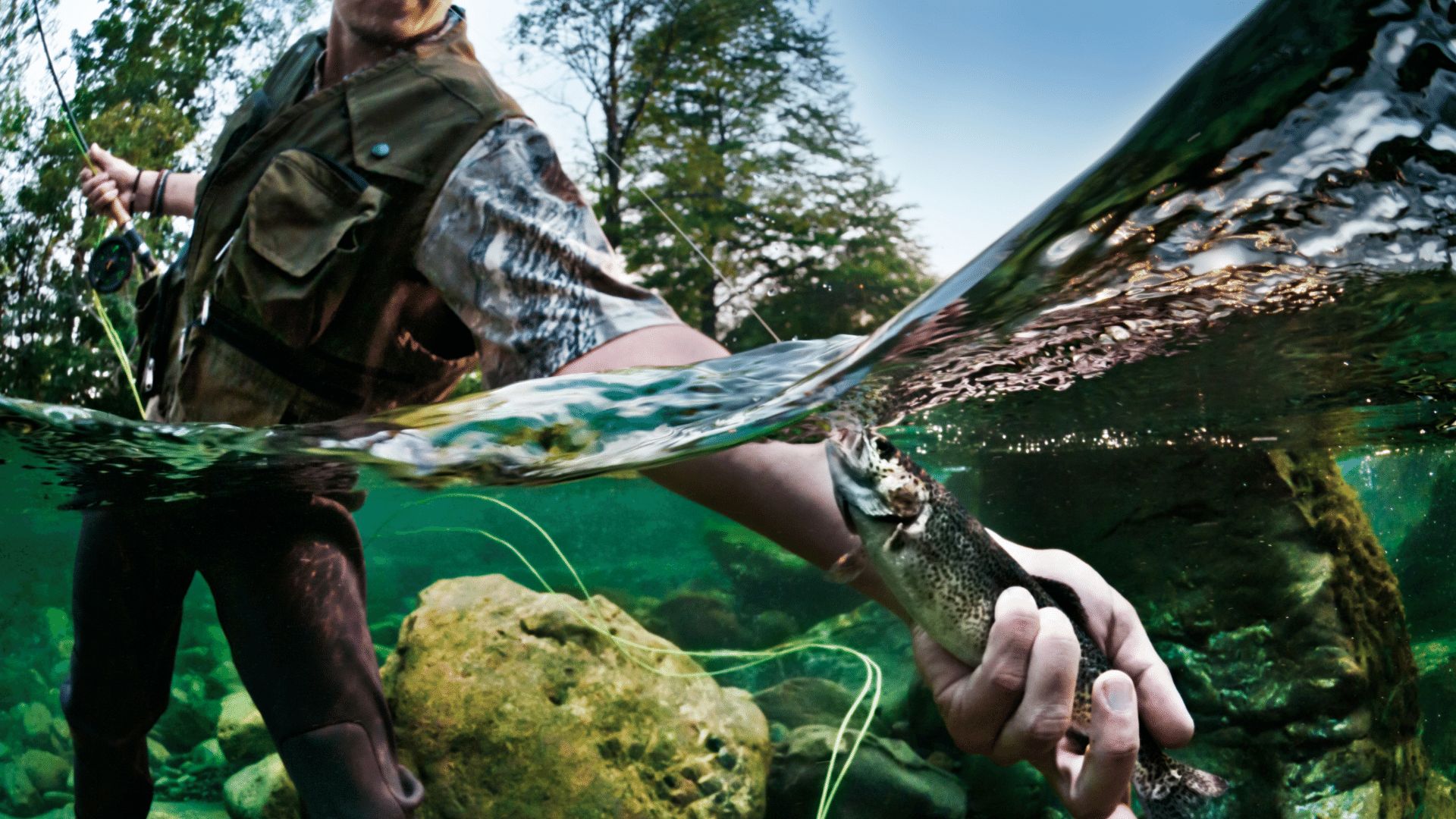 Interested in fish conservation and management? Drop us a line - CSU News