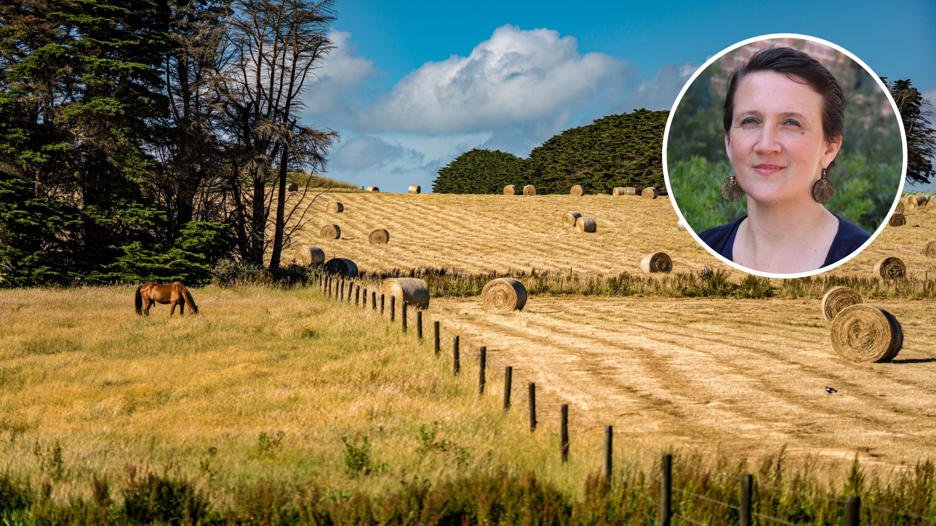 Rural women are the souls of the land - CSU News