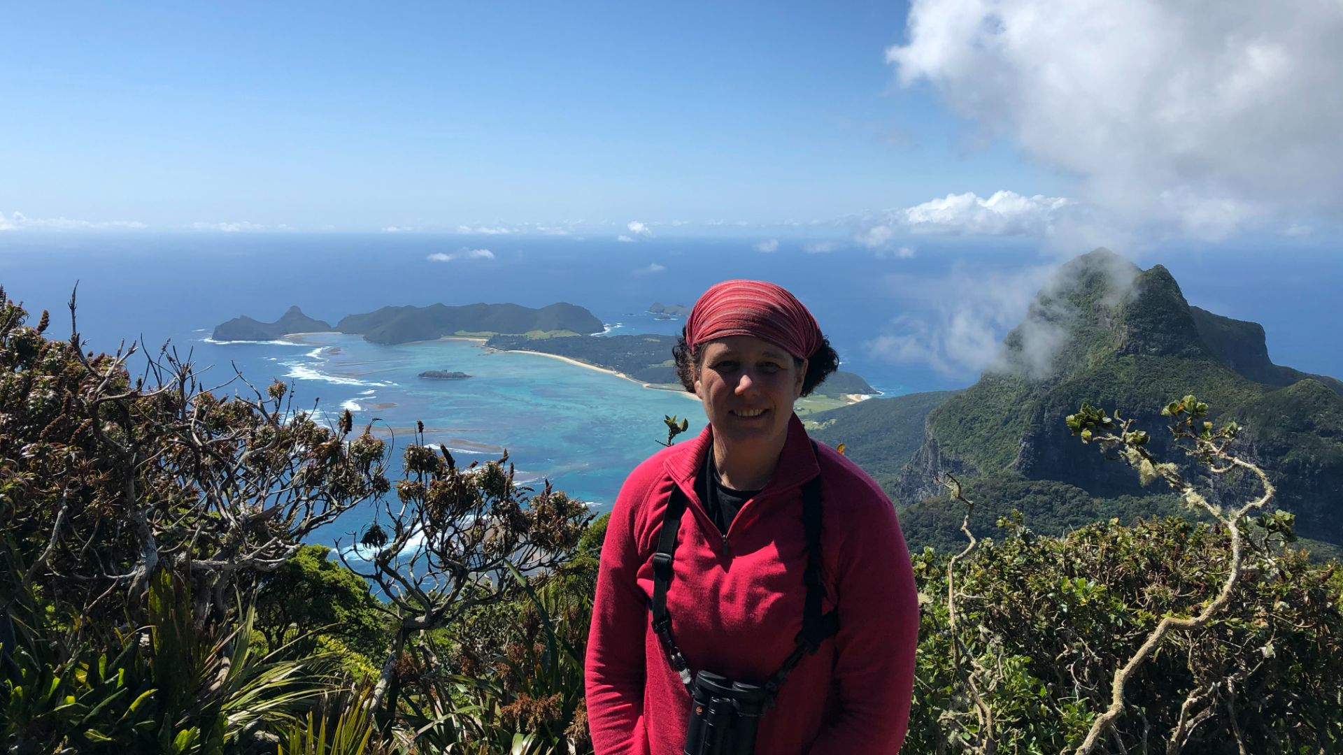 Research explores rodent eradication impact on native birds amid ...