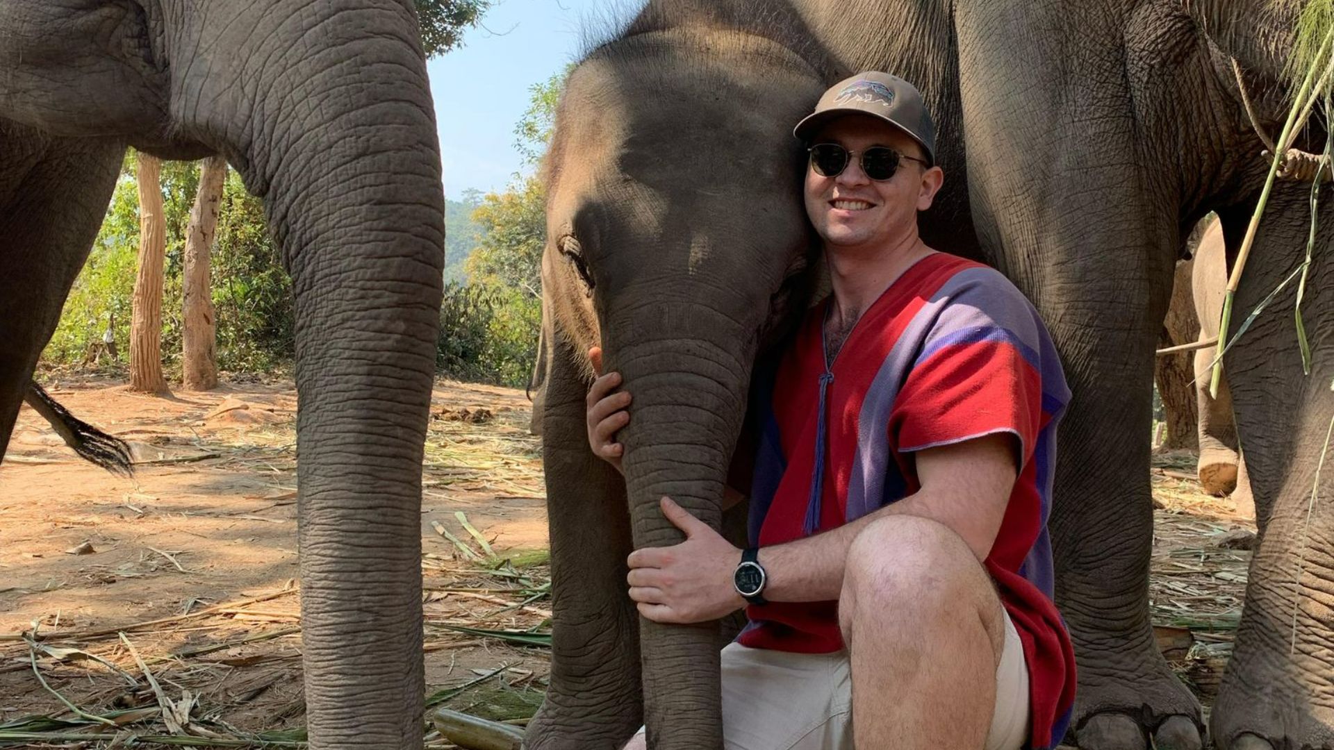 Vet graduate’s mission to boost pet nutrition across Australia - CSU News