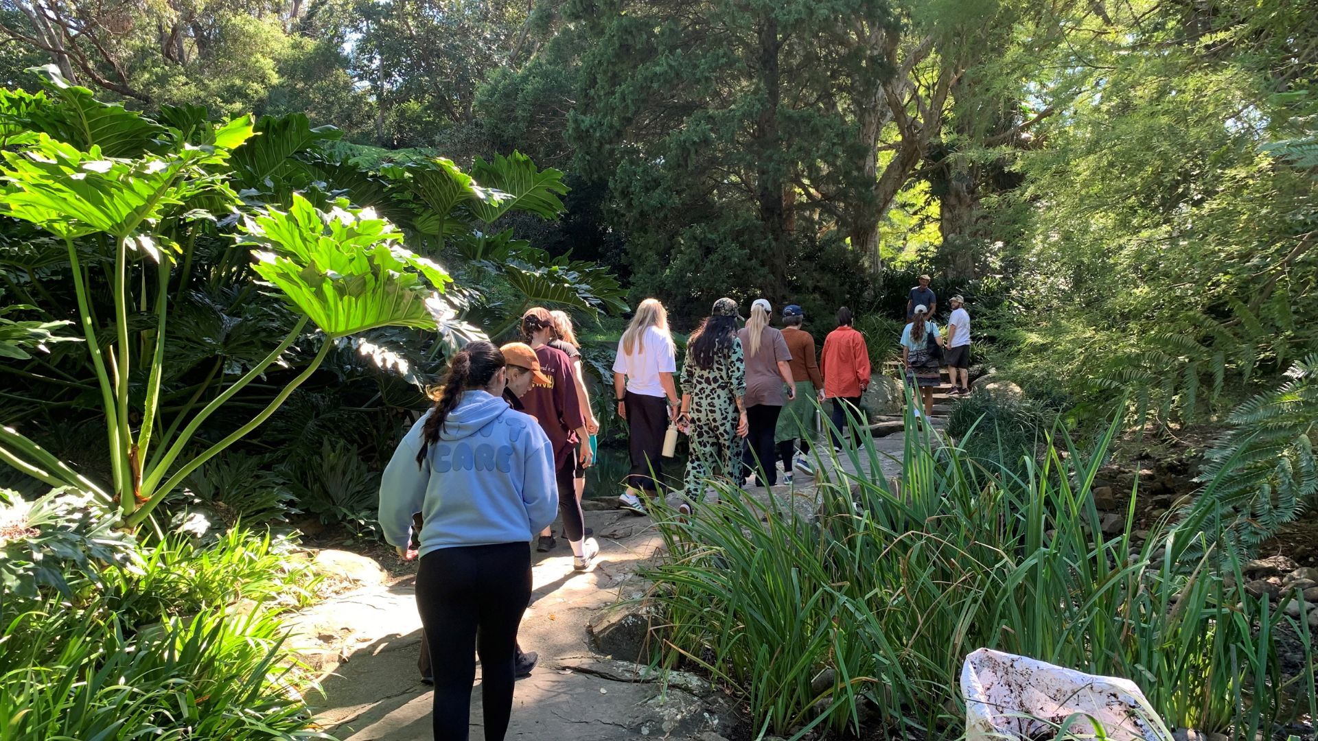 Dynamic research outlines innovative practices to improve chronic ...