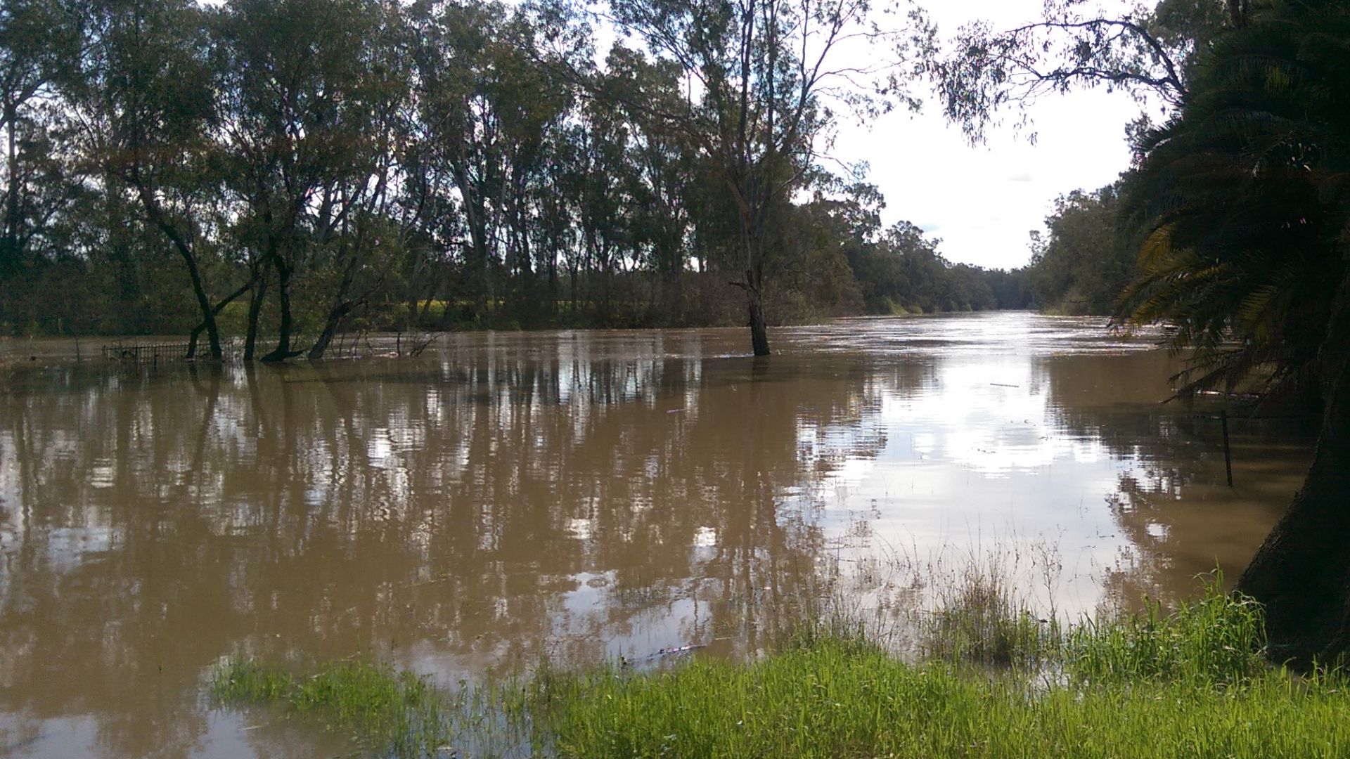 Environmental water flow survey needs public input - CSU News