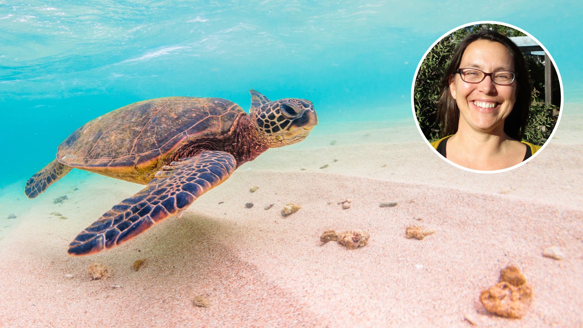 Research provides guidelines on conservation management - CSU News