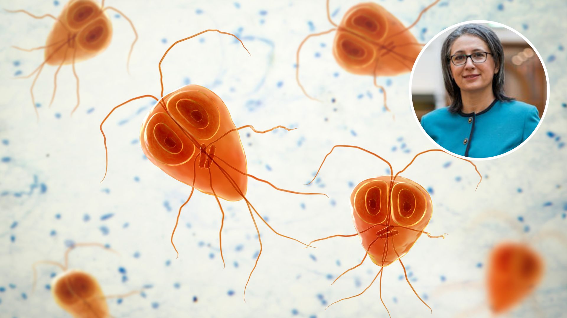 Parasite expert reveals origins and implications of Australia’s silent ...