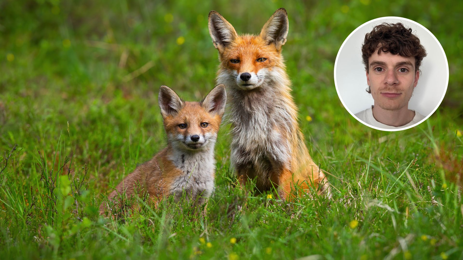 PhD research gives way to intriguing theory about predator-prey ...