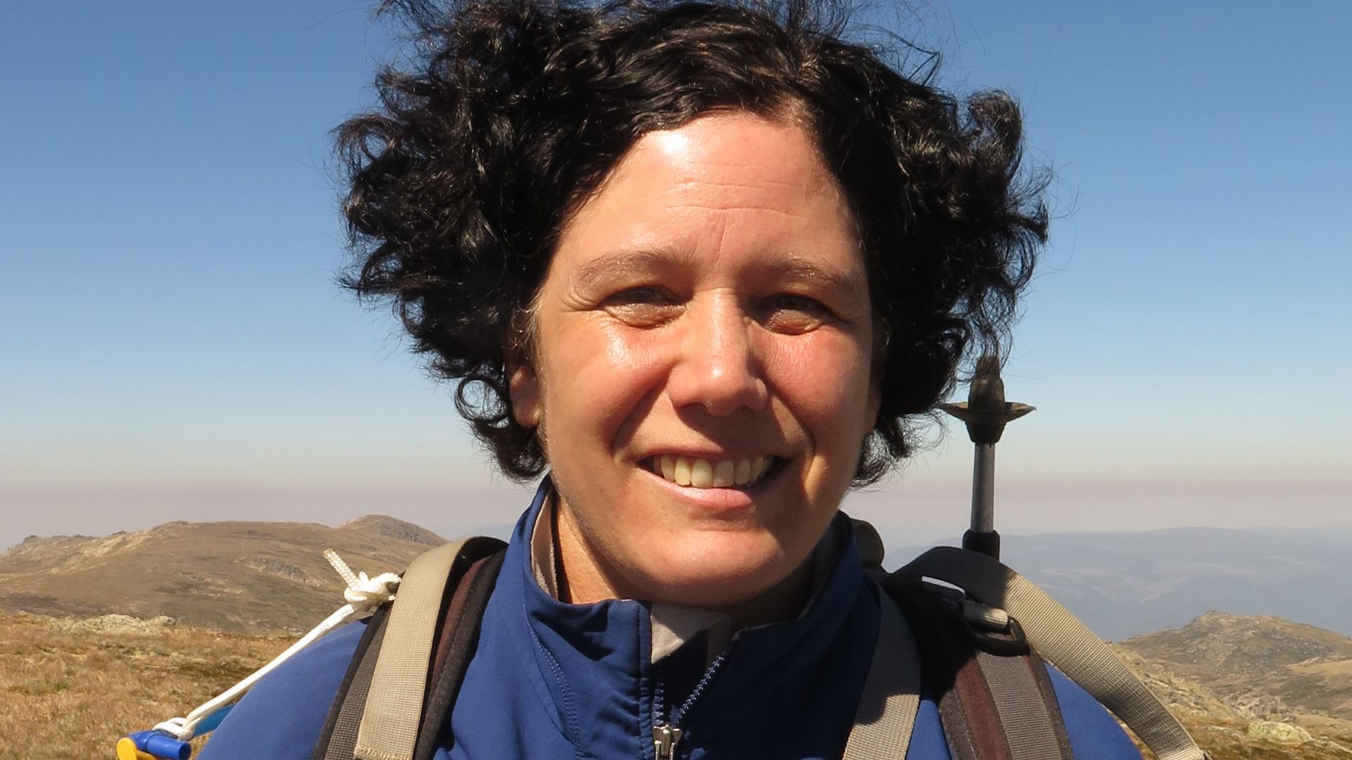Bird conservation project included in 2021 NSW Research Impact Showcase ...