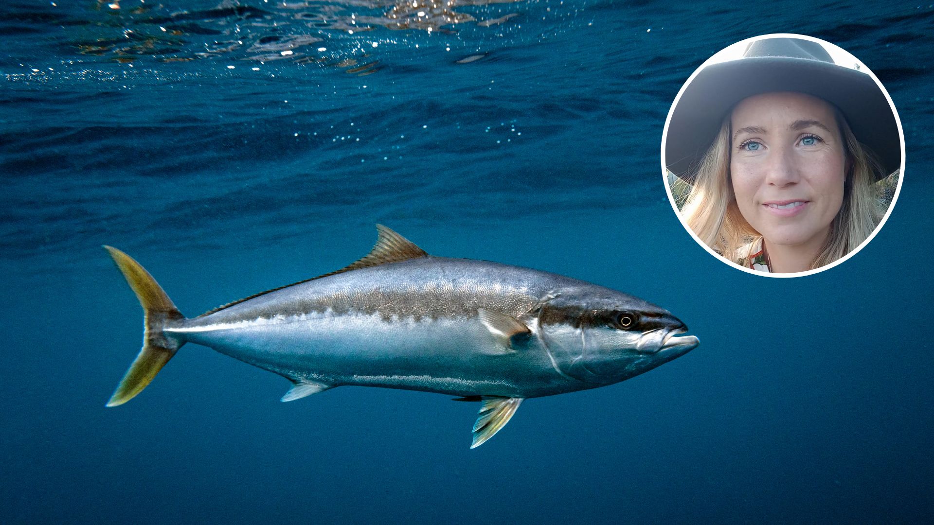 “Caught a mushy fish?” – anglers asked to help researchers track fish ...