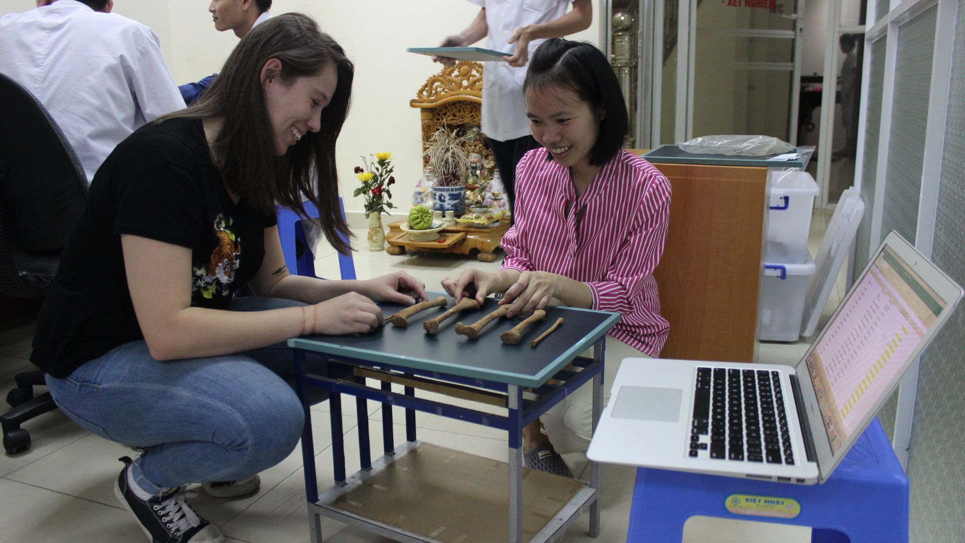 Ancient ‘syphilis-like’ disease in Vietnam challenges long-held ...