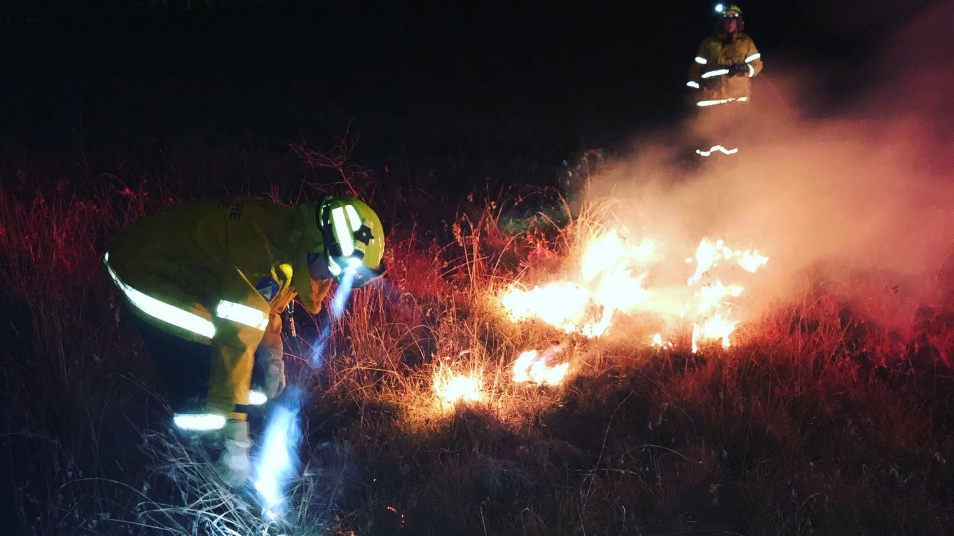 The benefits of fire. How heat and smoke can help save critically ...