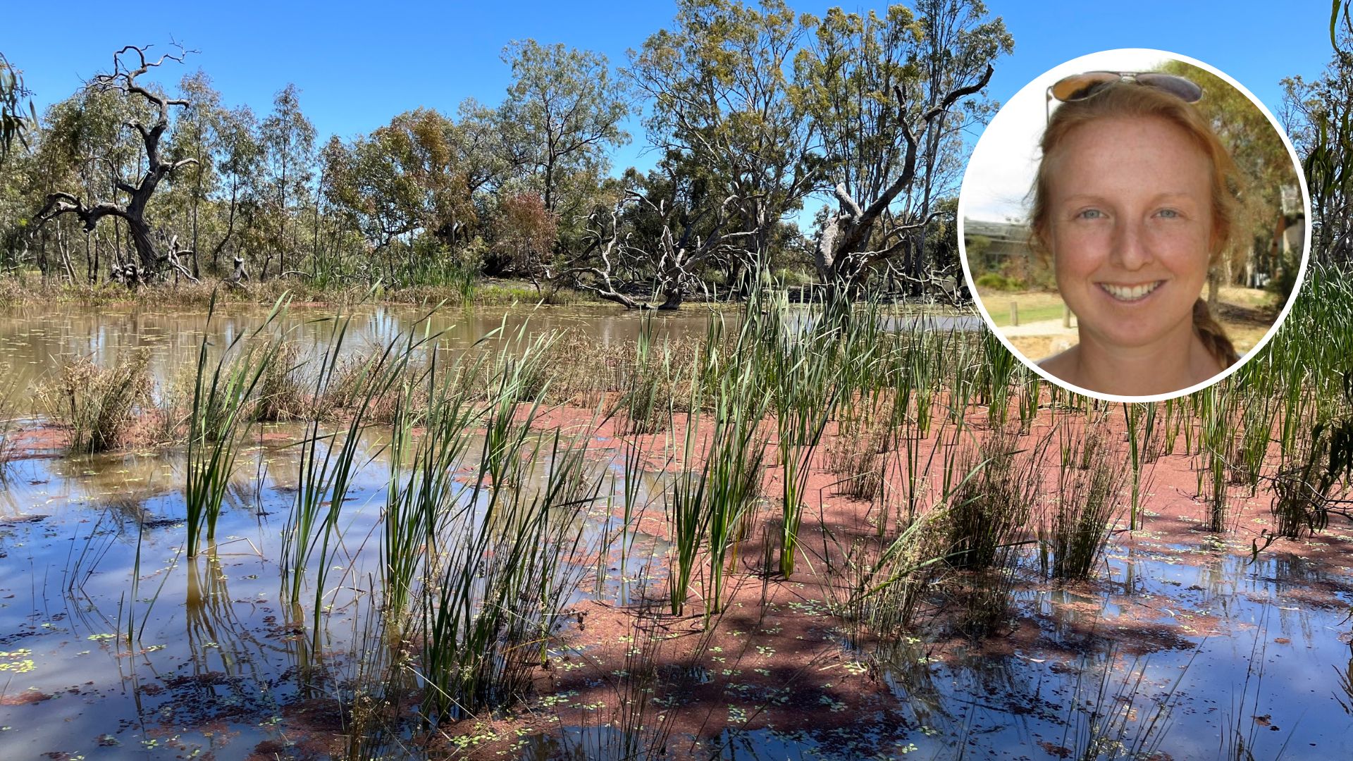 Field day to educate community on vital wetland system - CSU News