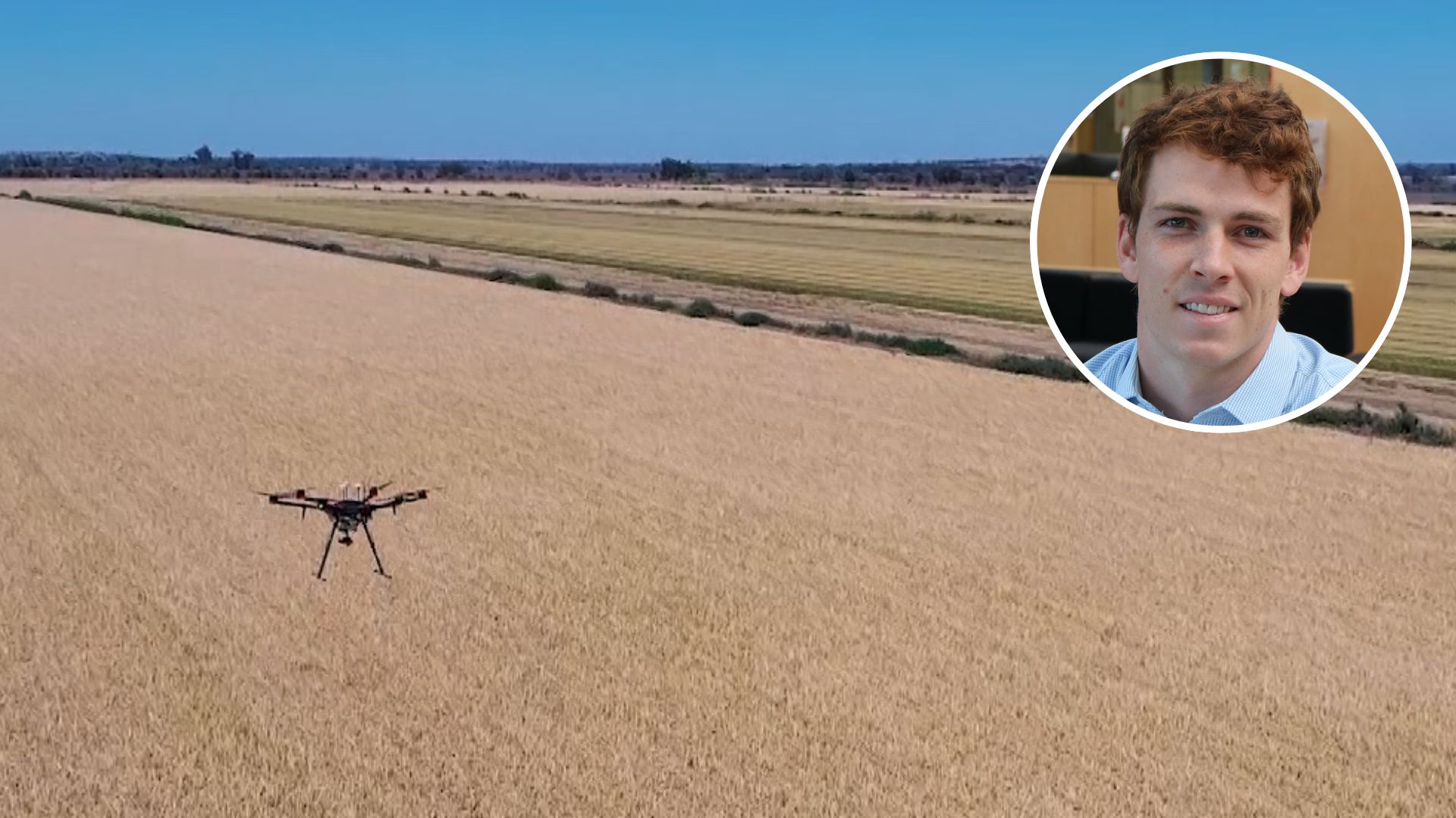 Harnessing data and artificial intelligence to benefit rice industry ... Harnessing data and artificial intelligence to benefit rice industry ...